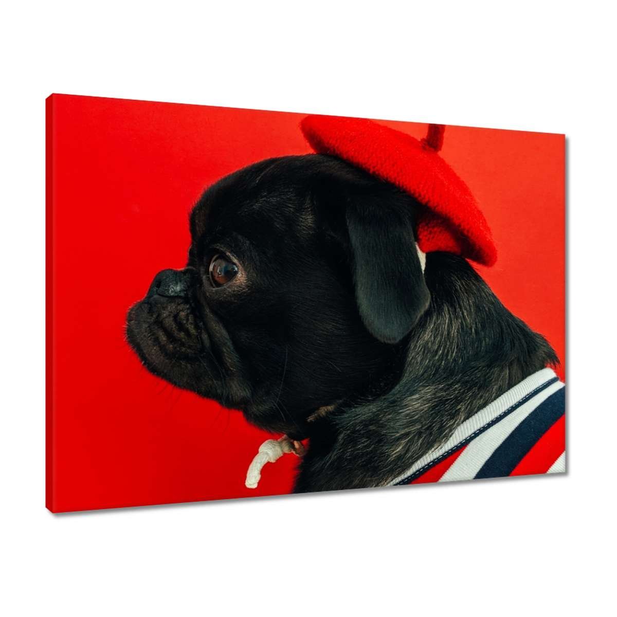 Obraz 70x50 Pies Piesek Psiaki - ZeSmakiem | Sklep EMPIK.COM