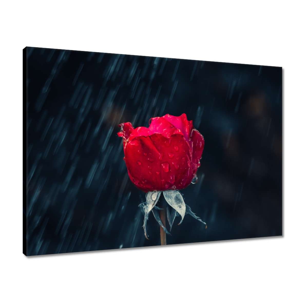 Obraz 70x50 Róża Kwiat Kwiaty Róże - ZeSmakiem | Sklep EMPIK.COM