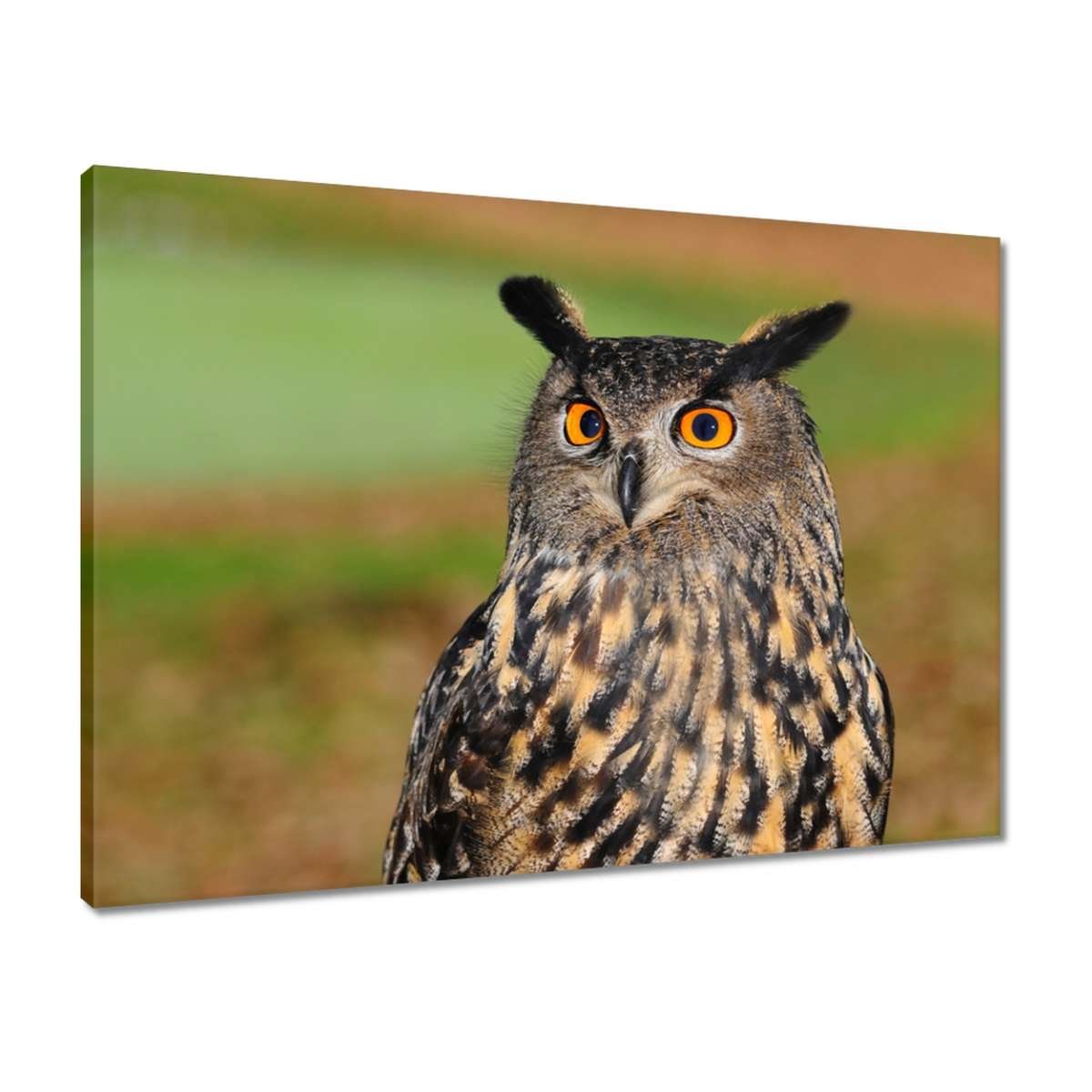 Obraz 70x50 Sowa - ZeSmakiem | Sklep EMPIK.COM