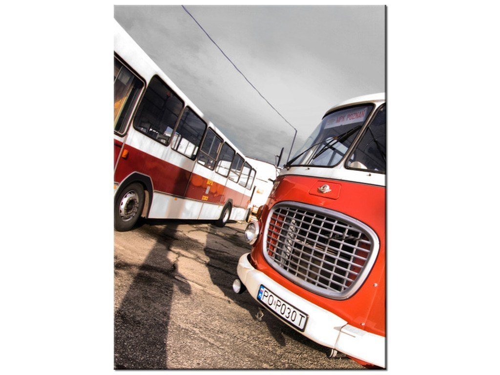 Obraz Autobus ogórek, 30x40 cm - Oobrazy | Sklep EMPIK.COM