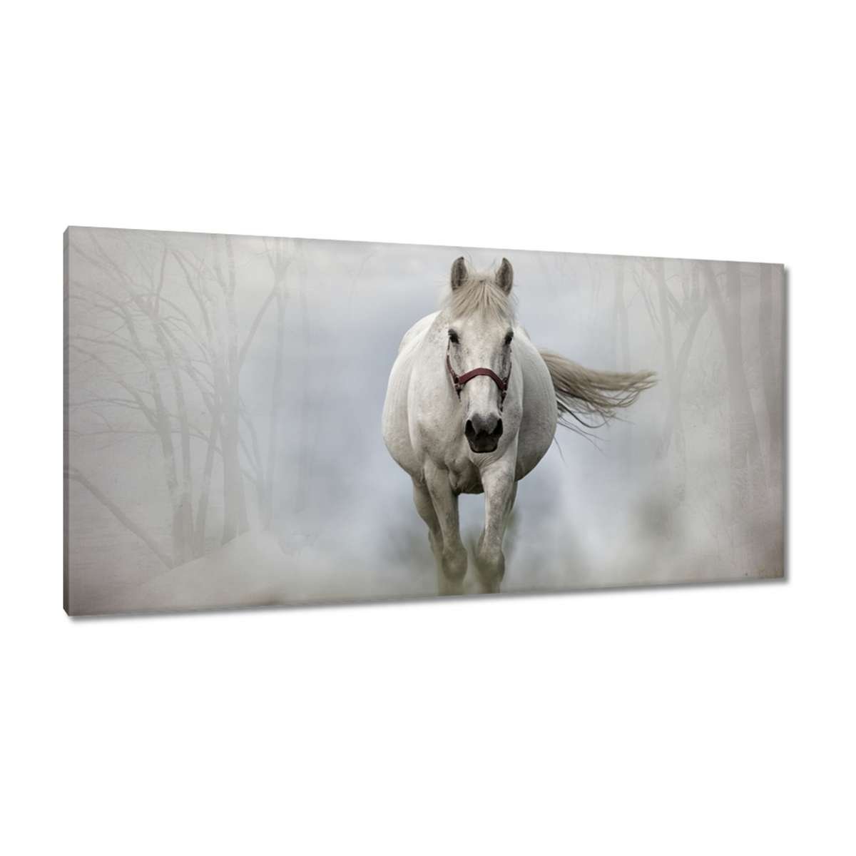 Obraz Biały koń, 115x55cm - ZeSmakiem | Sklep EMPIK.COM