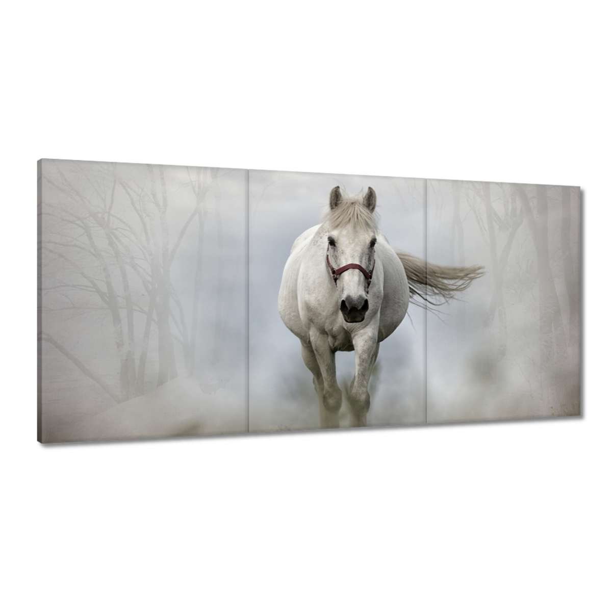 Obraz Biały koń, 120x60cm - ZeSmakiem | Sklep EMPIK.COM