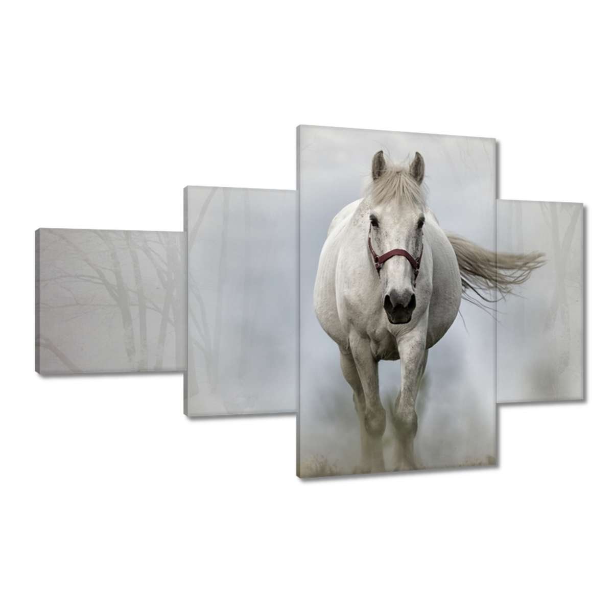 Obraz Biały koń, 130x80cm - ZeSmakiem | Sklep EMPIK.COM