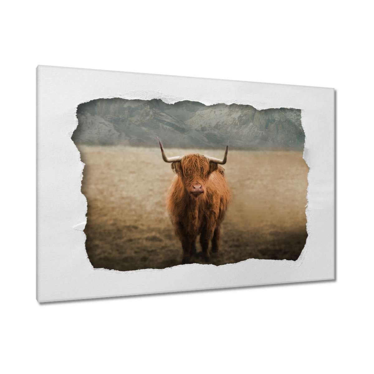 Obraz Bydło rogate, 90x60cm - ZeSmakiem | Sklep EMPIK.COM