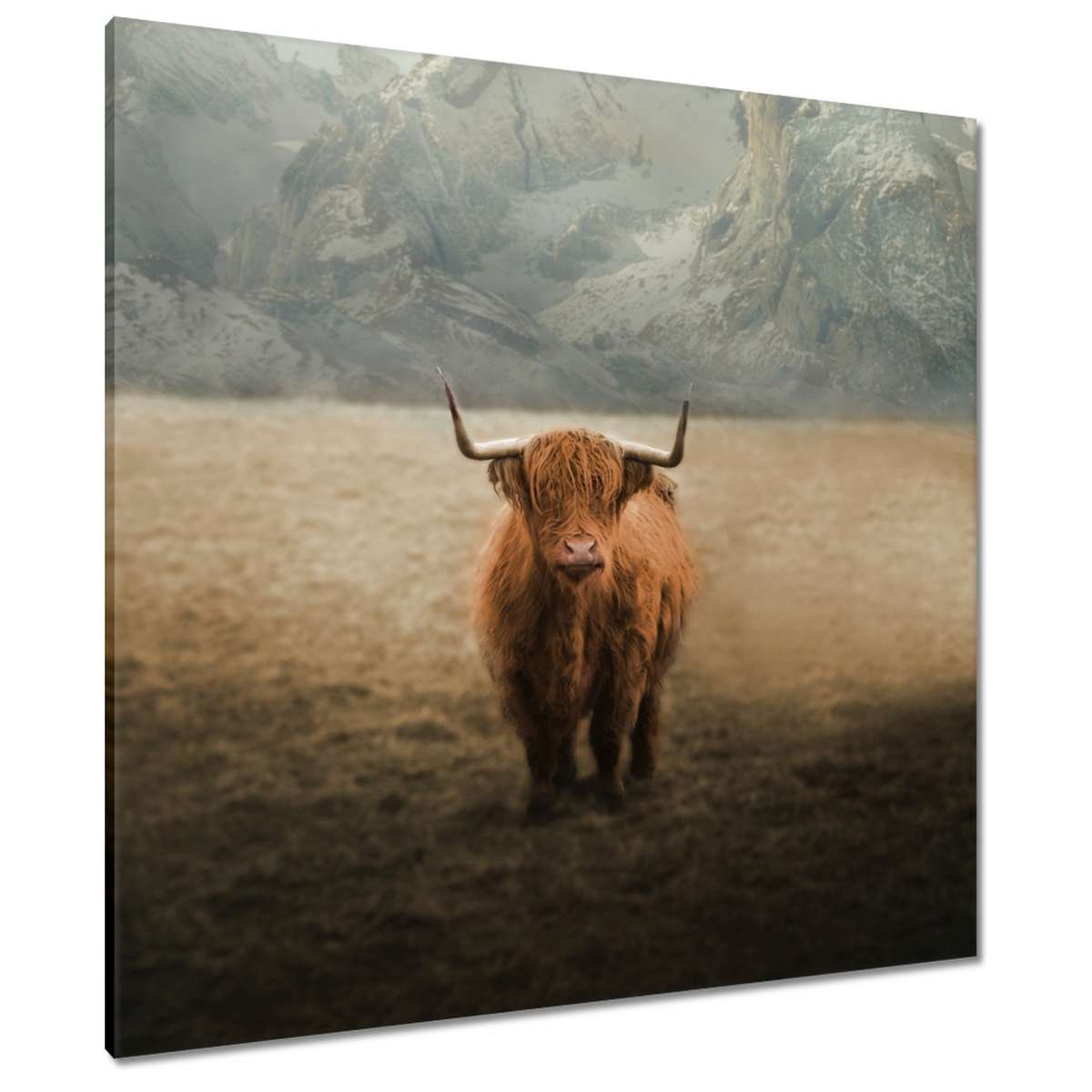 Obraz Bydło rogate, 90x90cm - ZeSmakiem | Sklep EMPIK.COM