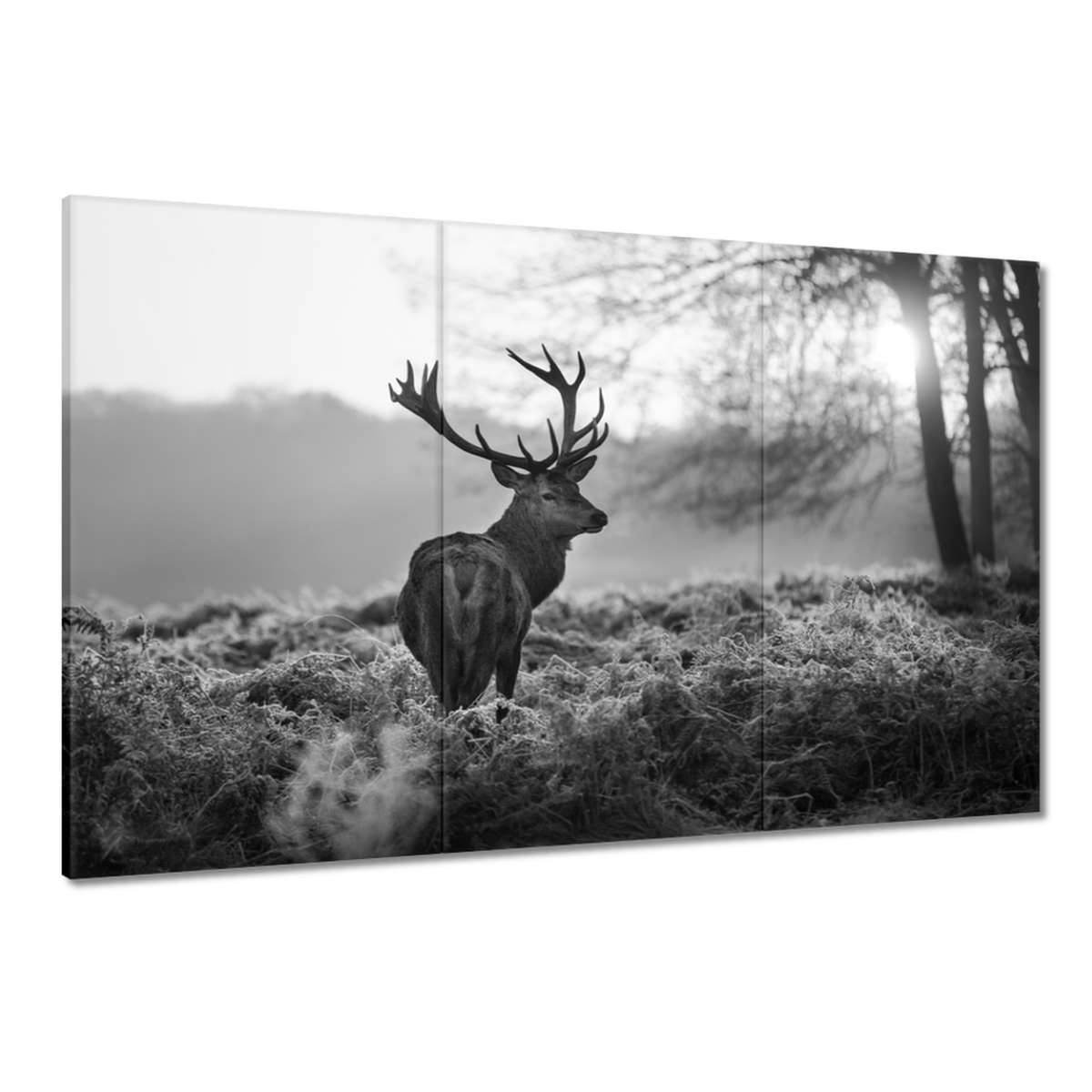 Obraz Czarno-biały jeleń, 120x80cm - ZeSmakiem | Sklep EMPIK.COM