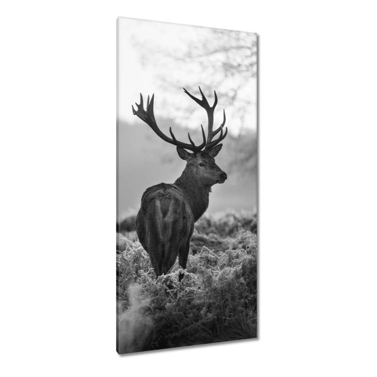 Obraz Czarno-biały jeleń, 55x115cm - ZeSmakiem | Sklep EMPIK.COM