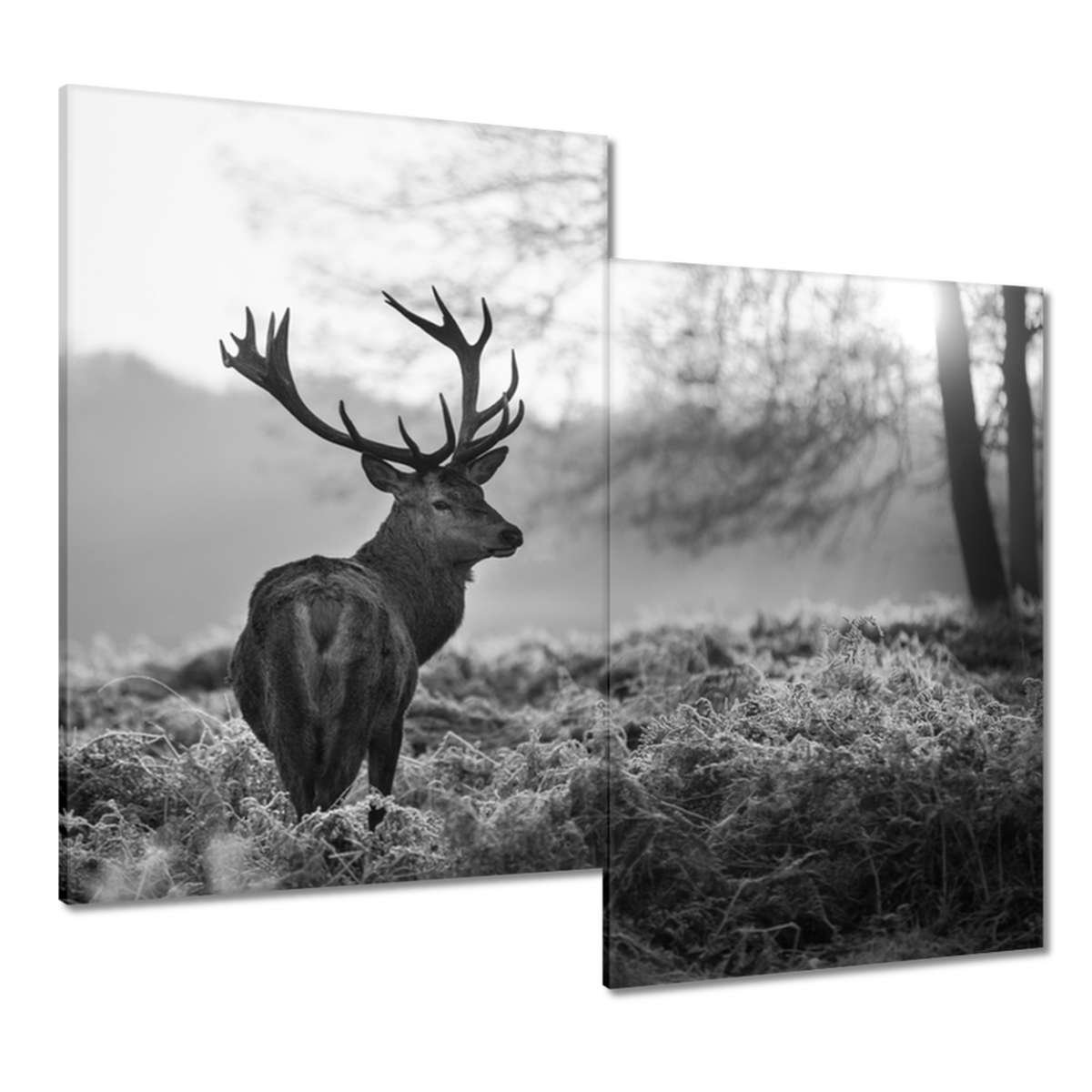 Obraz Czarno-biały jeleń, 80x70cm - ZeSmakiem | Sklep EMPIK.COM