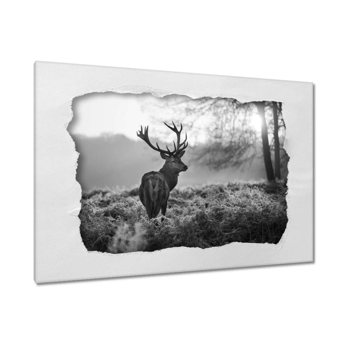 Obraz Czarno-biały jeleń, 90x60cm - ZeSmakiem | Sklep EMPIK.COM