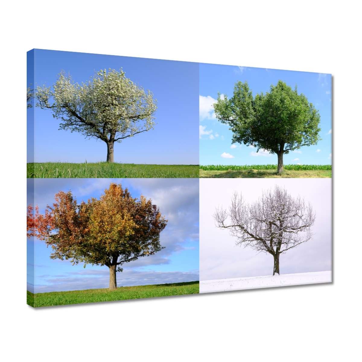Obraz Cztery pory roku, 40x30cm - ZeSmakiem | Sklep EMPIK.COM