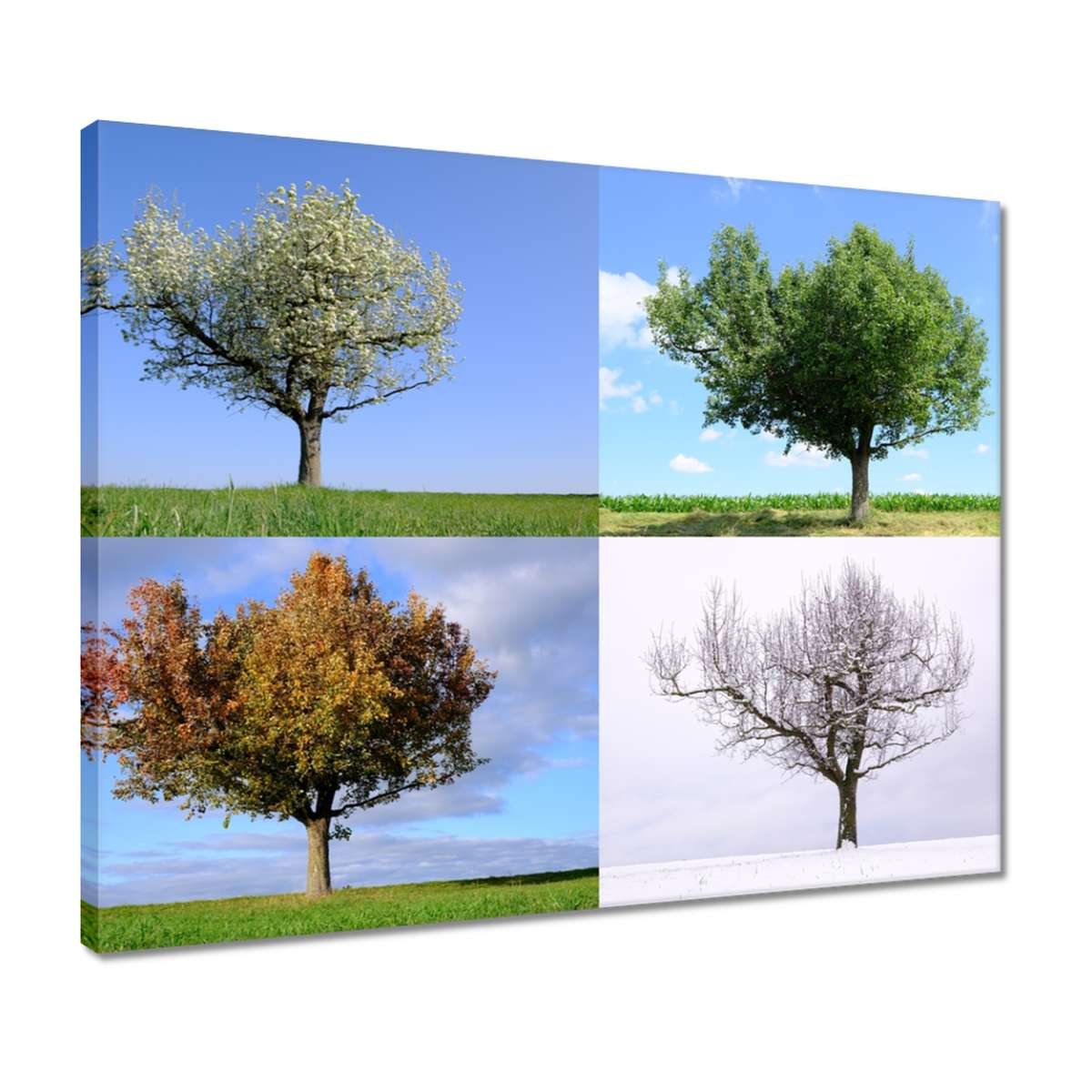 Obraz Cztery pory roku, 50x40cm - ZeSmakiem | Sklep EMPIK.COM