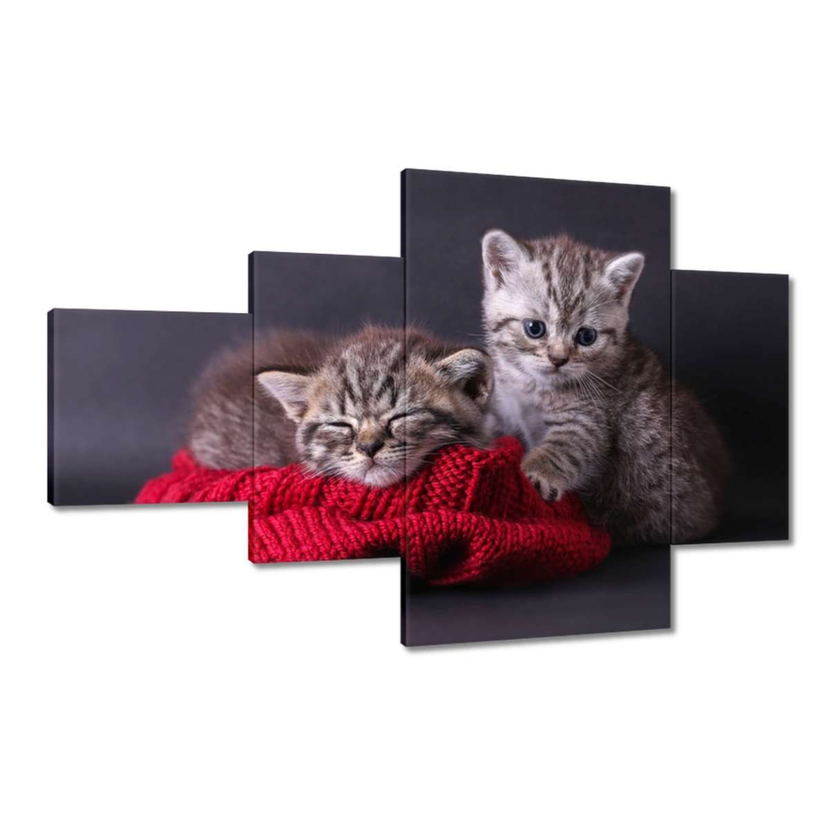 Obraz Dwa słodkie kotki, 130x80cm - ZeSmakiem | Sklep EMPIK.COM