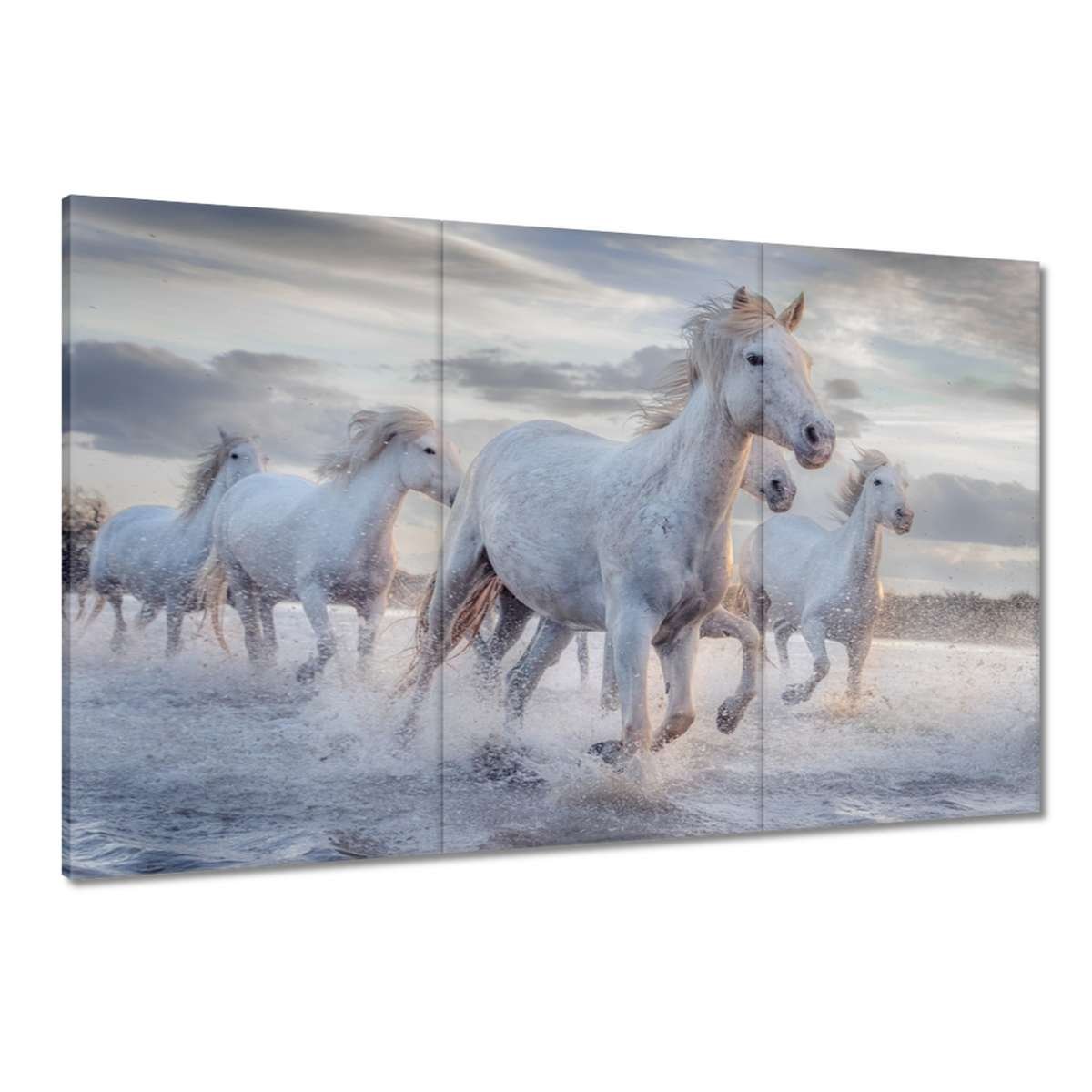 Obraz Dzikie konie, 120x80cm - ZeSmakiem | Sklep EMPIK.COM