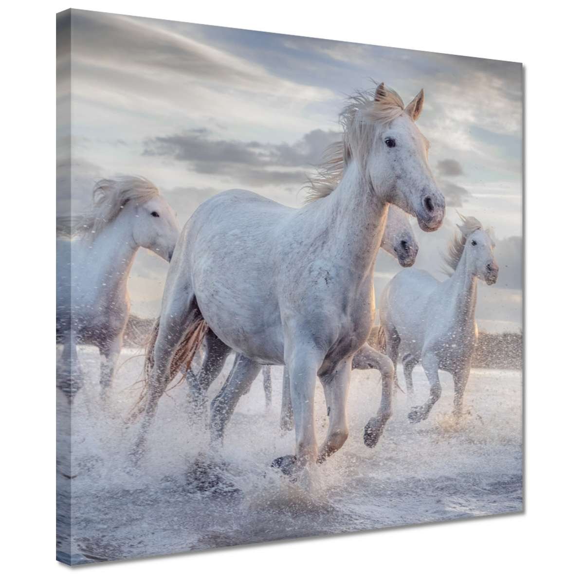 Obraz Dzikie konie, 30x30cm - ZeSmakiem | Sklep EMPIK.COM