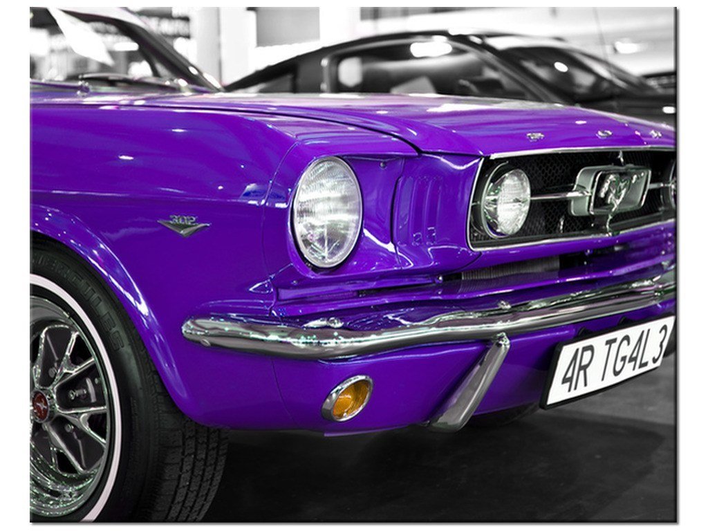 Obraz Fioletowy Mustang, 50x40 cm - Oobrazy | Sklep EMPIK.COM