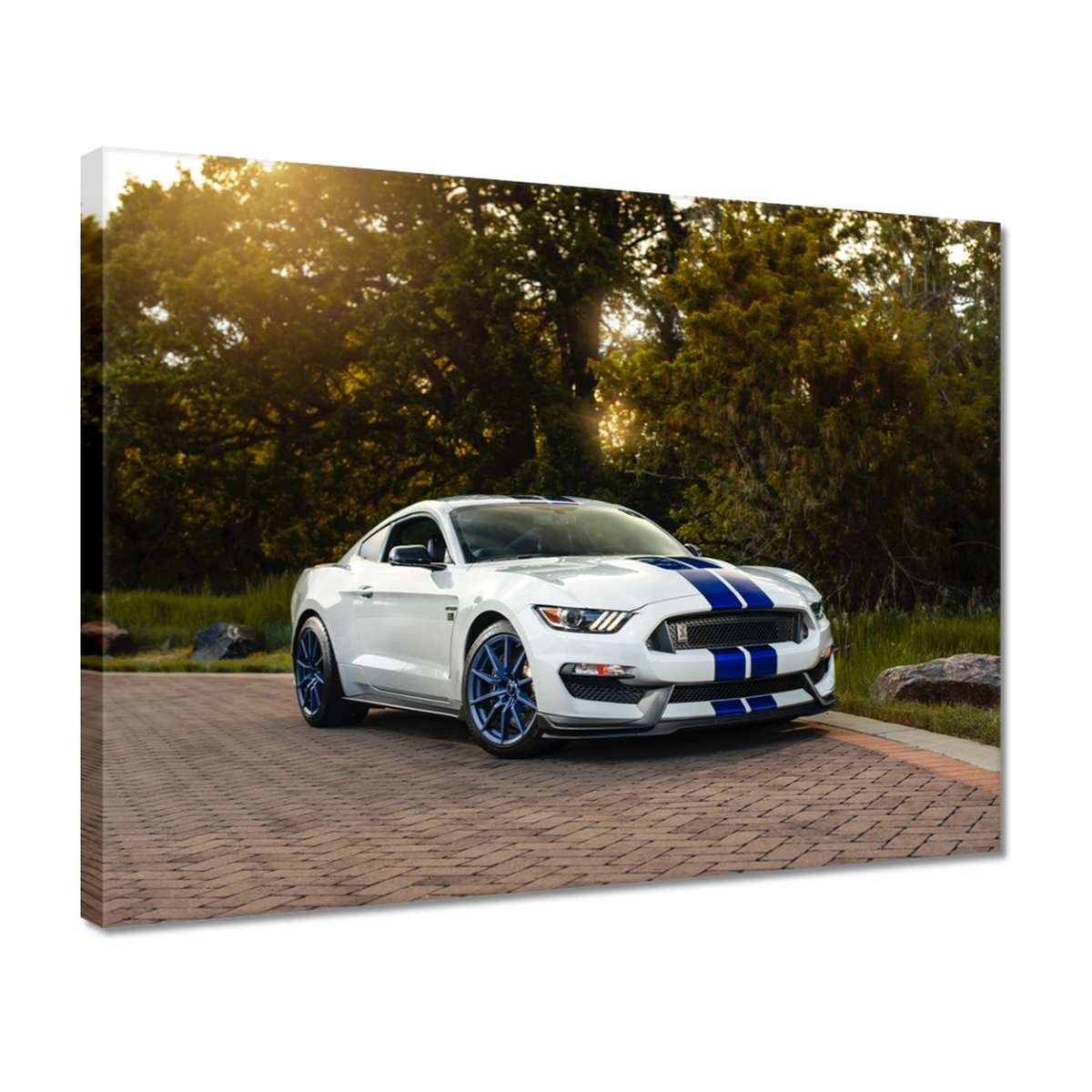 Obraz Ford Mustang Samochód USA, 40x30cm - ZeSmakiem | Sklep EMPIK.COM