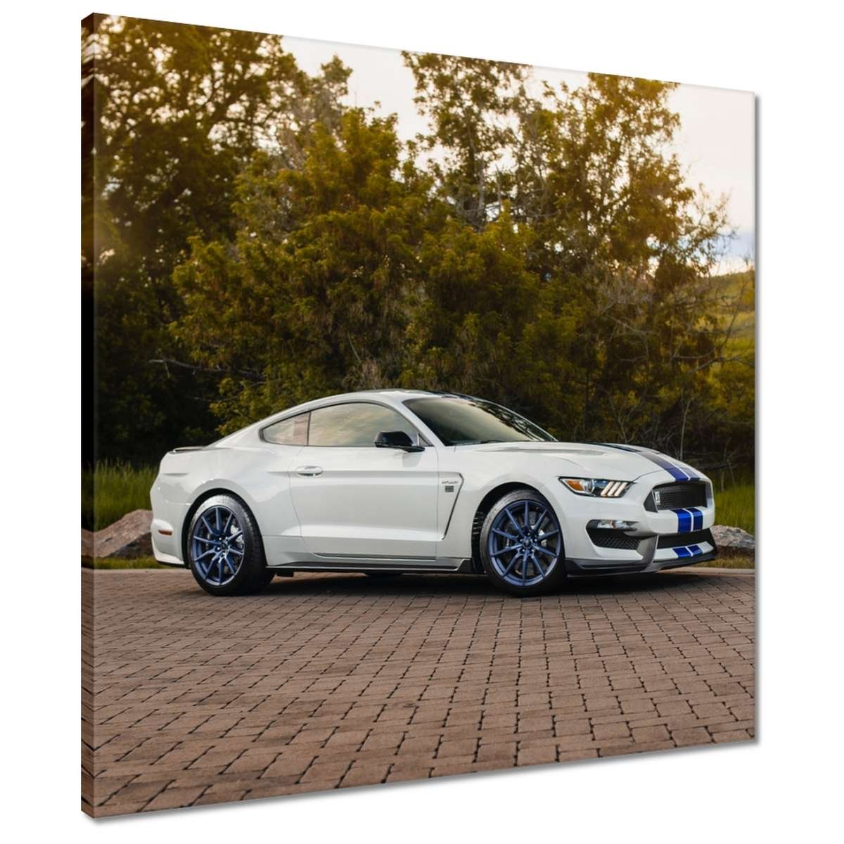 Obraz Ford Mustang Samochód USA, 50x50cm - ZeSmakiem | Sklep EMPIK.COM