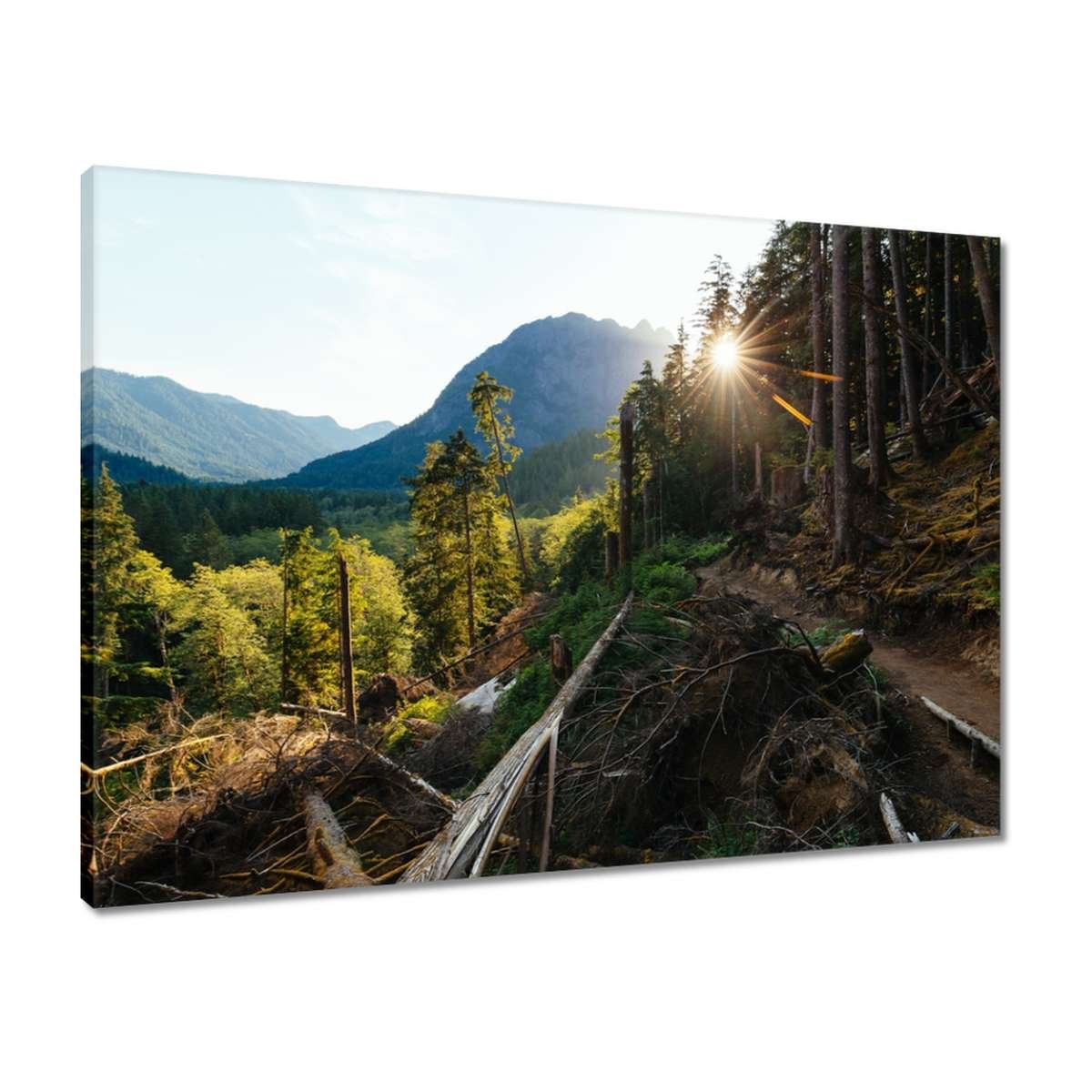 Obraz Góry Słonce Las Ścieżka, 70x50cm - ZeSmakiem | Sklep EMPIK.COM