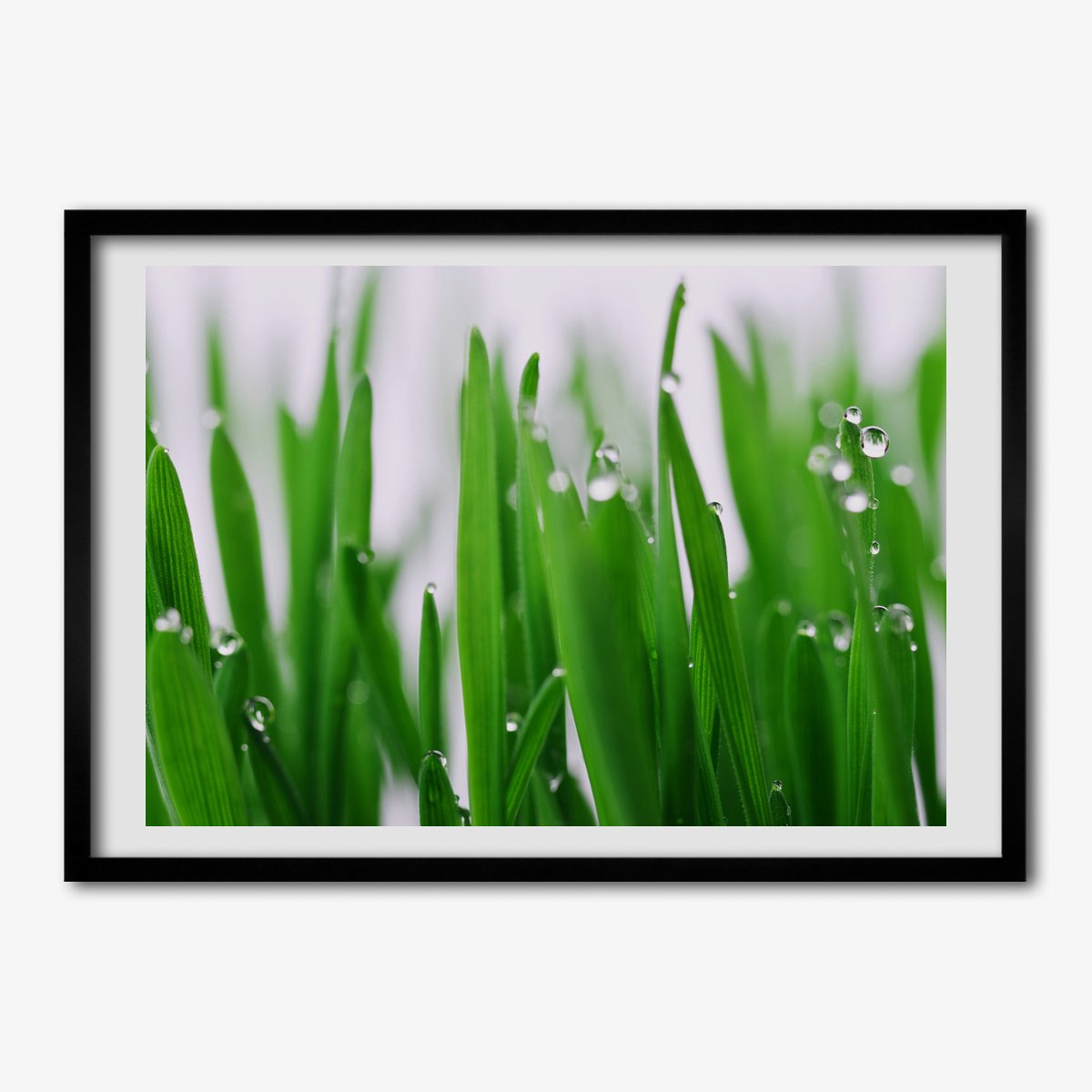 Obraz grafika z ramą na ścianę TULUP Źdźbła trawy 70x50 cm - Tulup ...