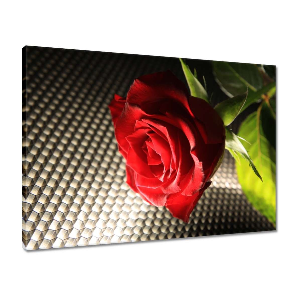 Obraz Gustowna róża na prezent, 70x50cm - ZeSmakiem | Sklep EMPIK.COM