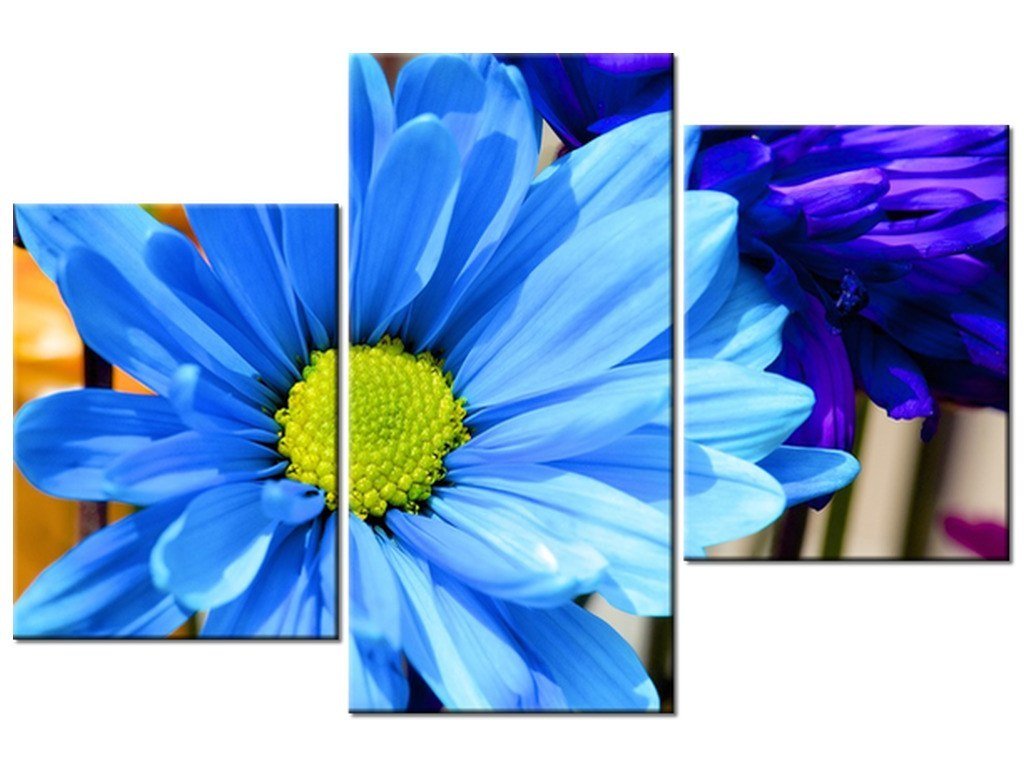 Obraz Intensywne kolory - Jamie McCaffrey, 3 elementy, 90x60 cm ...