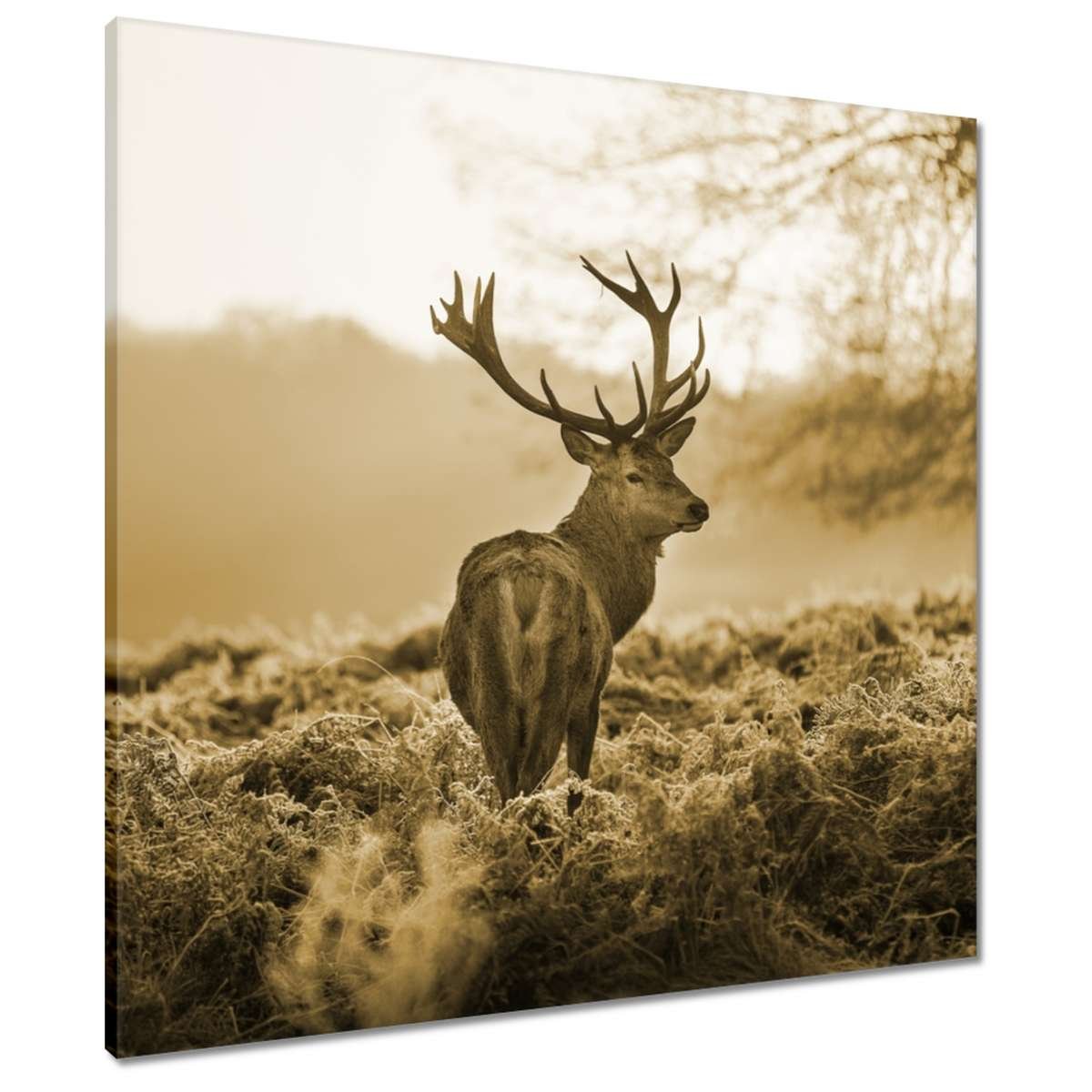 Obraz Jeleń w lesie, 70x70cm - ZeSmakiem | Sklep EMPIK.COM