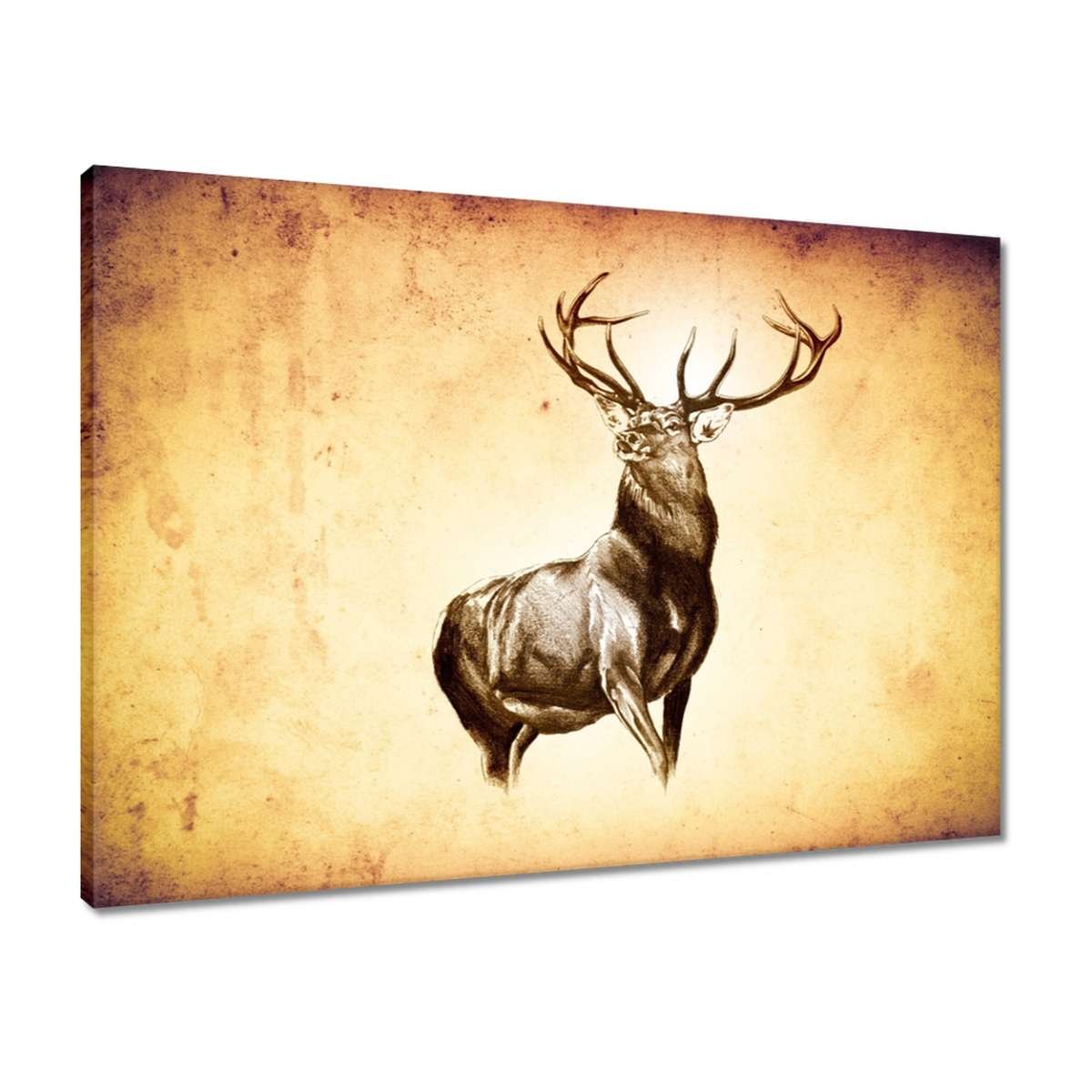 Obraz Jeleń z rogami, 70x50cm - ZeSmakiem | Sklep EMPIK.COM