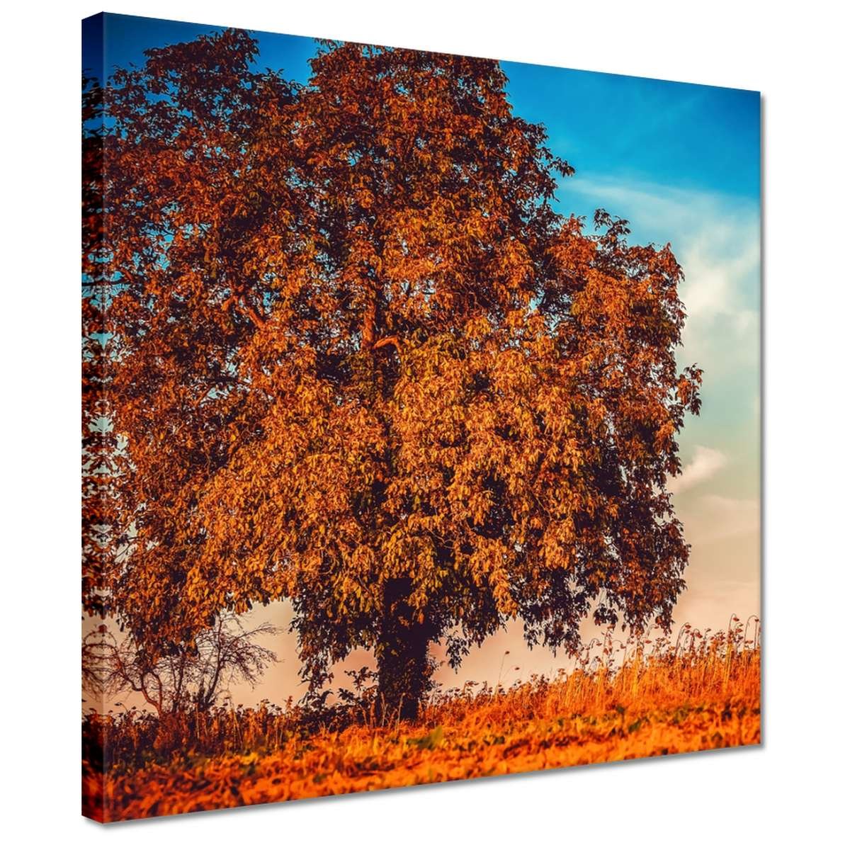 Obraz Jesienne barwy Pejzaż, 30x30cm - ZeSmakiem | Sklep EMPIK.COM