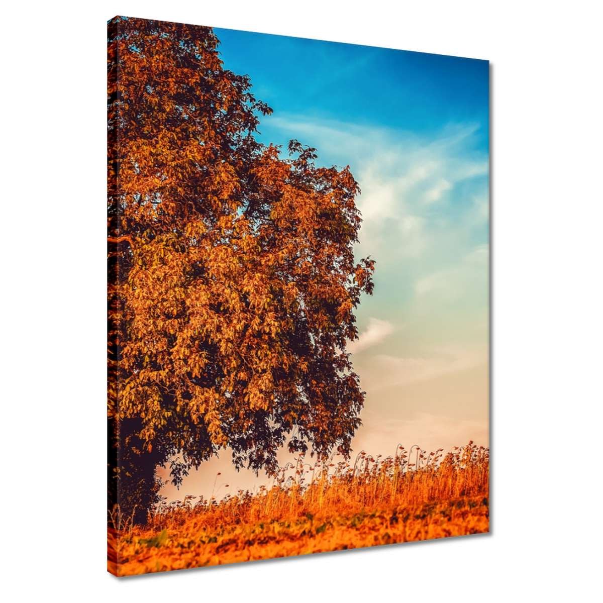 Obraz Jesienne barwy Pejzaż, 40x50cm - ZeSmakiem | Sklep EMPIK.COM