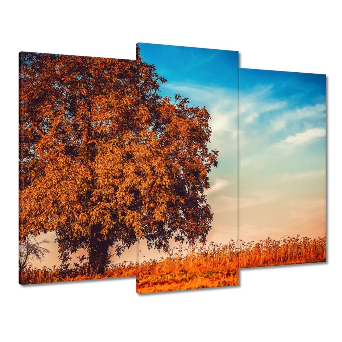 Obraz Jesienne barwy Pejzaż, 90x70cm - ZeSmakiem | Sklep EMPIK.COM