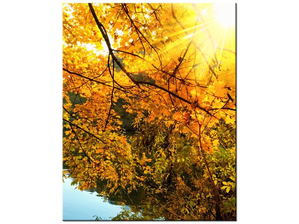 Obraz Jesienne słońce nad rzeką, 40x50 cm - Oobrazy | Sklep EMPIK.COM