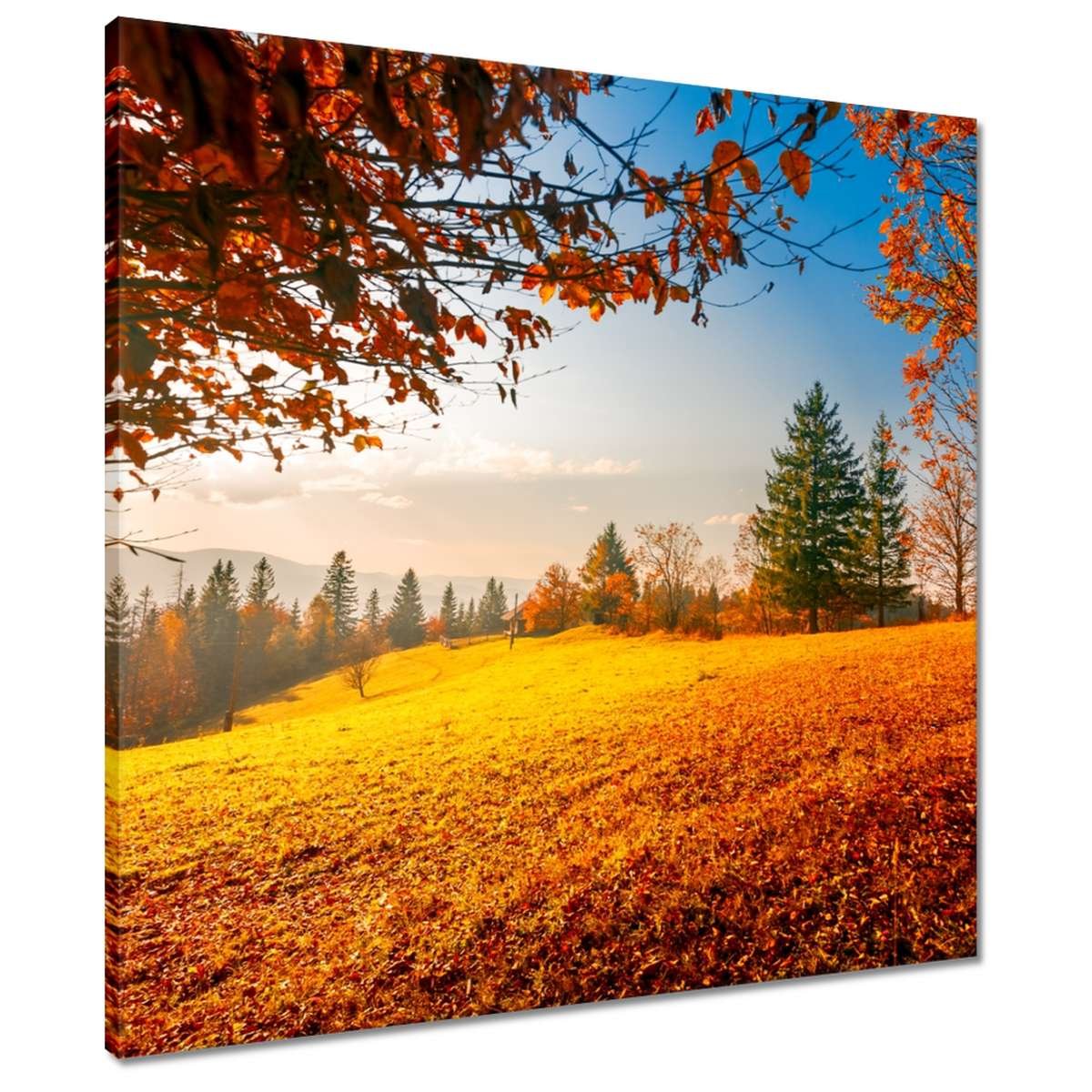 Obraz Jesienny krajobraz, 60x60cm - ZeSmakiem | Sklep EMPIK.COM