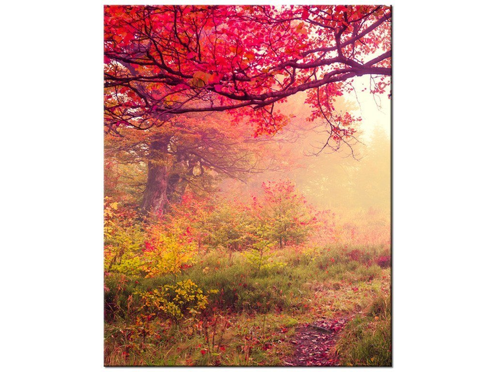 Obraz Jesienny krajobraz, 60x75 cm - Oobrazy | Sklep EMPIK.COM