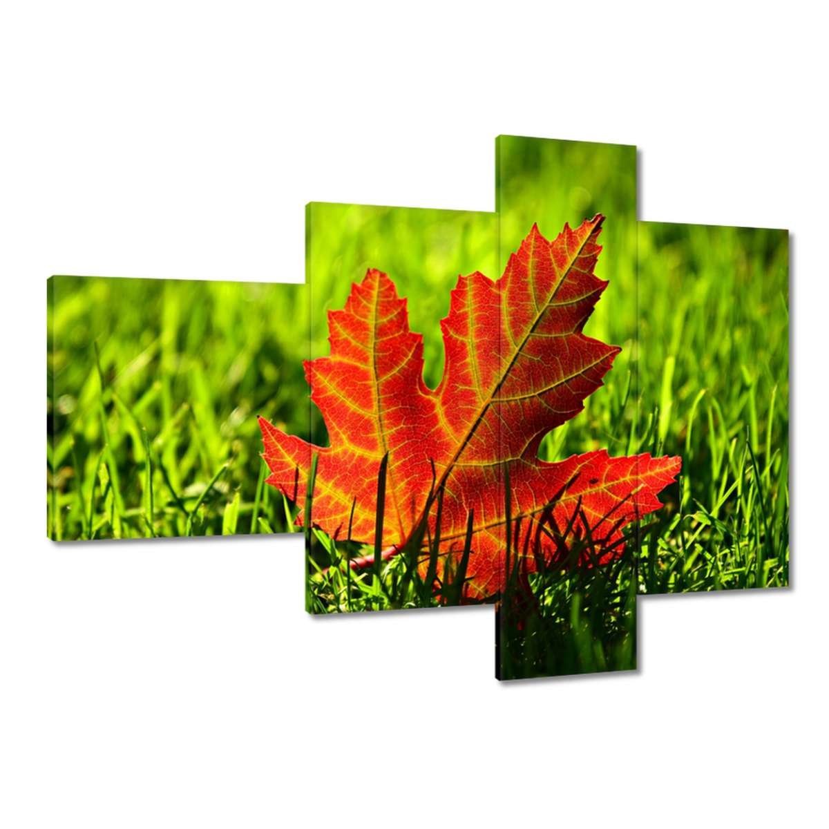 Obraz Jesienny liść na trawce, 100x70cm - ZeSmakiem | Sklep EMPIK.COM