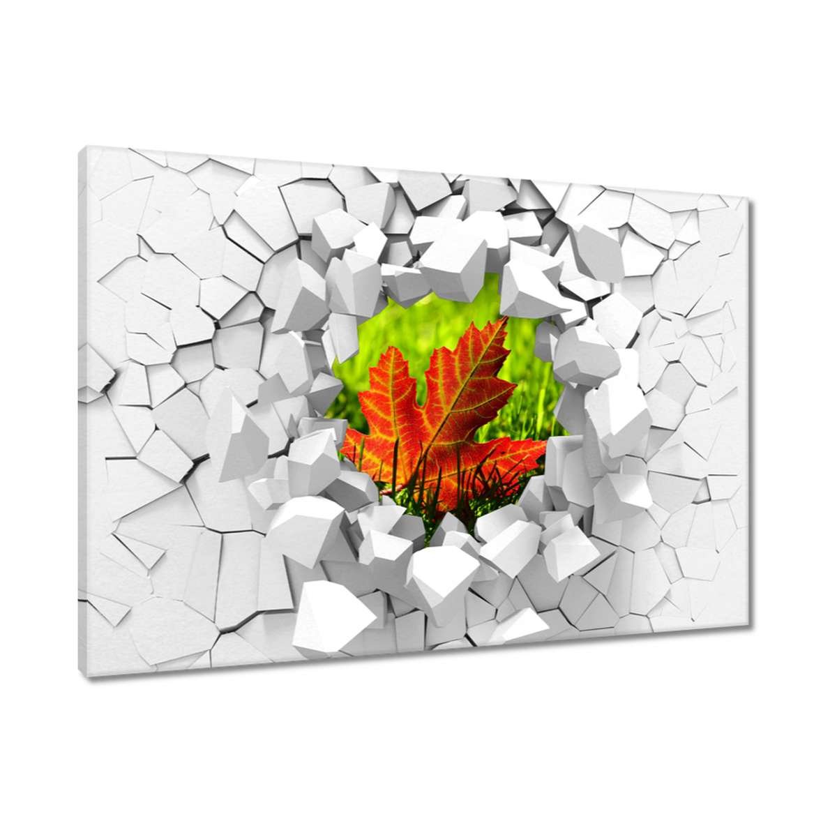 Obraz Jesienny liść na trawce, 120x80cm - ZeSmakiem | Sklep EMPIK.COM