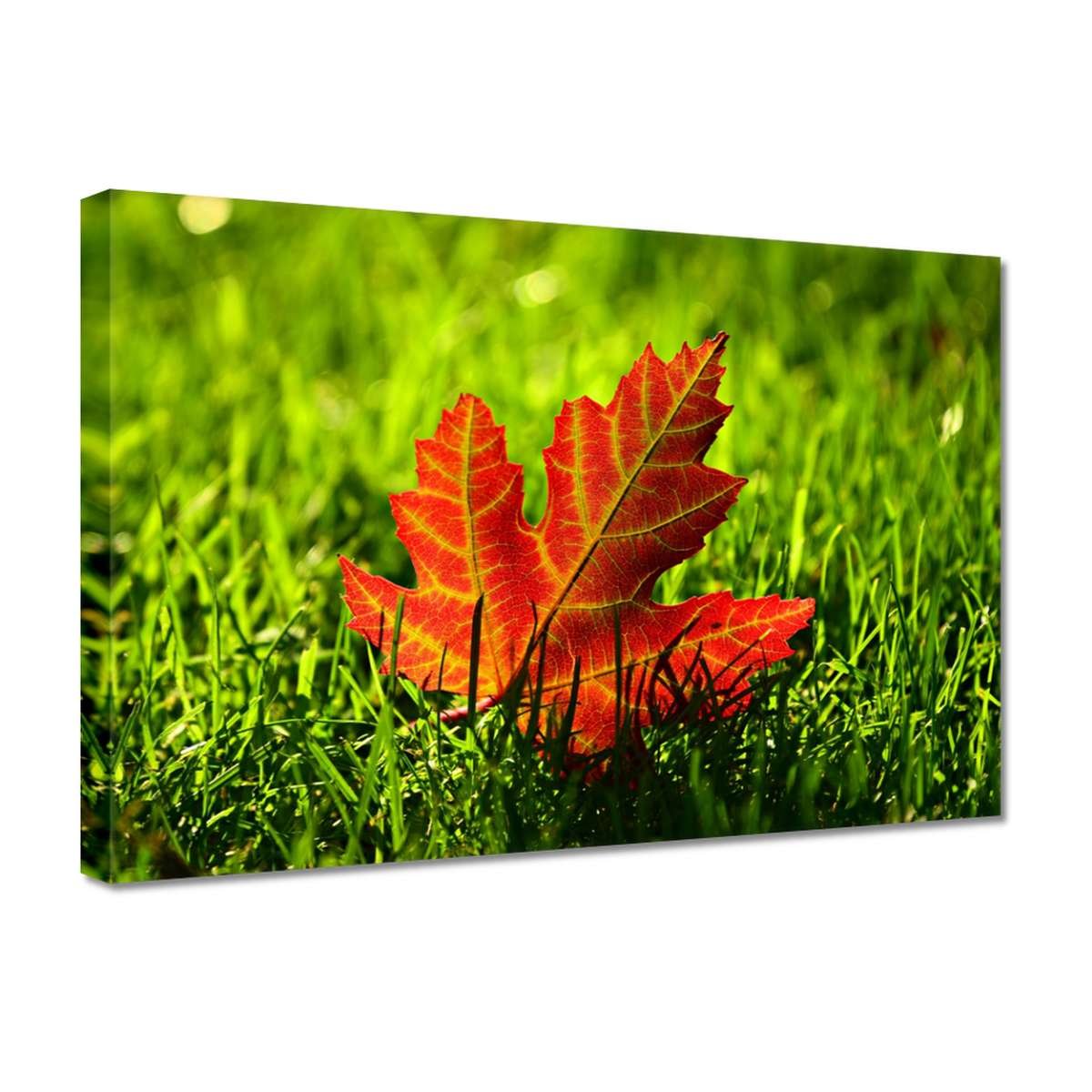 Obraz Jesienny liść na trawce, 30x20cm - ZeSmakiem | Sklep EMPIK.COM