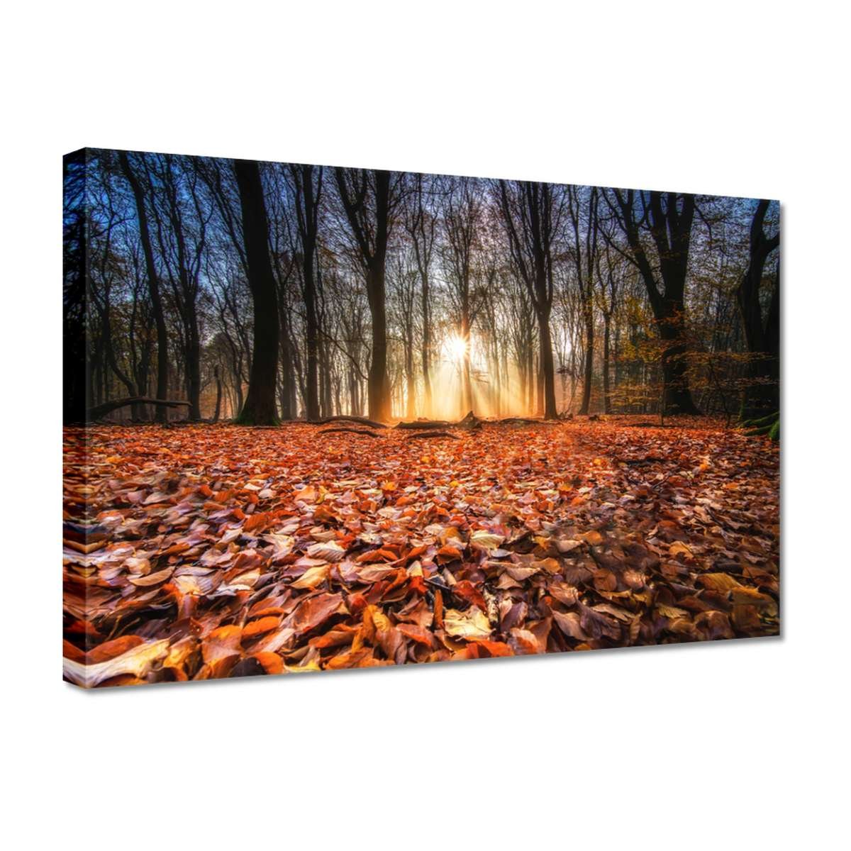 Obraz Jesienny widok Pejzaż, 30x20cm - ZeSmakiem | Sklep EMPIK.COM