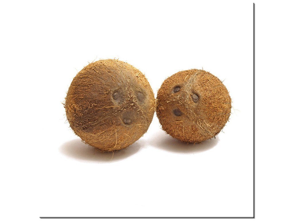 Obraz Kokosy, 30x30 cm - Oobrazy | Sklep EMPIK.COM