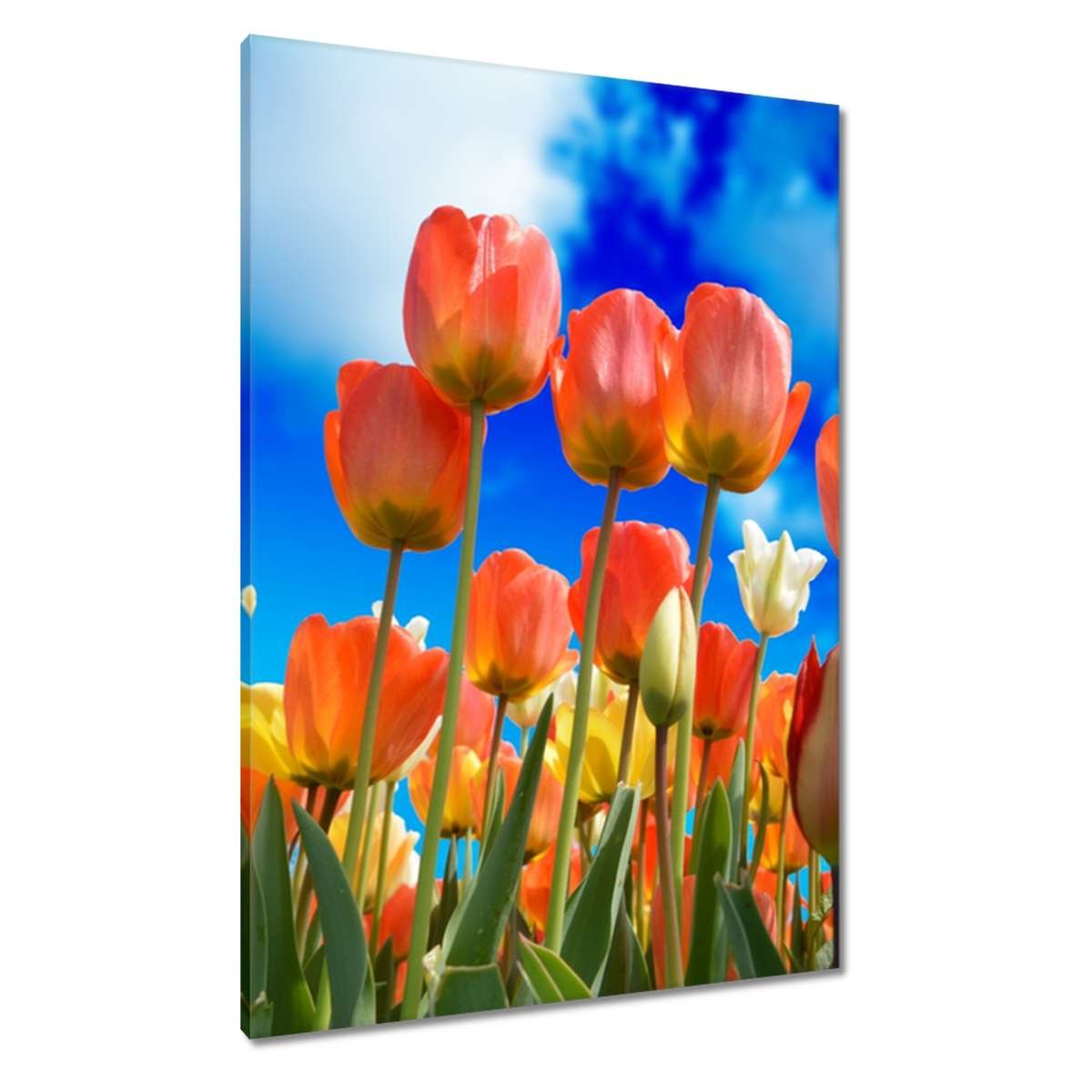Obraz Kolorowe tulipany Kwiaty, 70x100cm - ZeSmakiem | Sklep EMPIK.COM