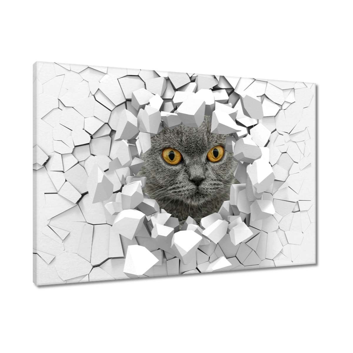 Obraz Kot brytyjski krótkowłosy, 60x40cm - ZeSmakiem | Sklep EMPIK.COM