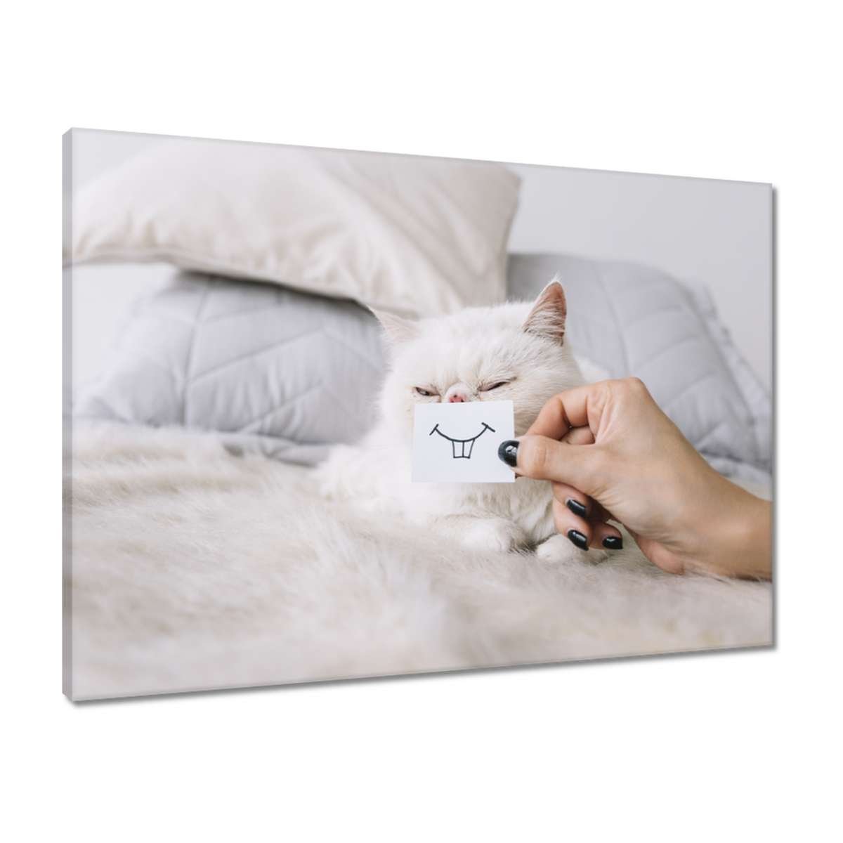 Obraz Kot Kotek Kotki Kicia, 70x50cm - ZeSmakiem | Sklep EMPIK.COM