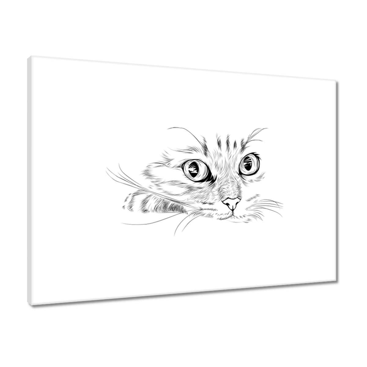 Obraz Kot Kotek Kotki Koty, 70x50cm - ZeSmakiem | Sklep EMPIK.COM