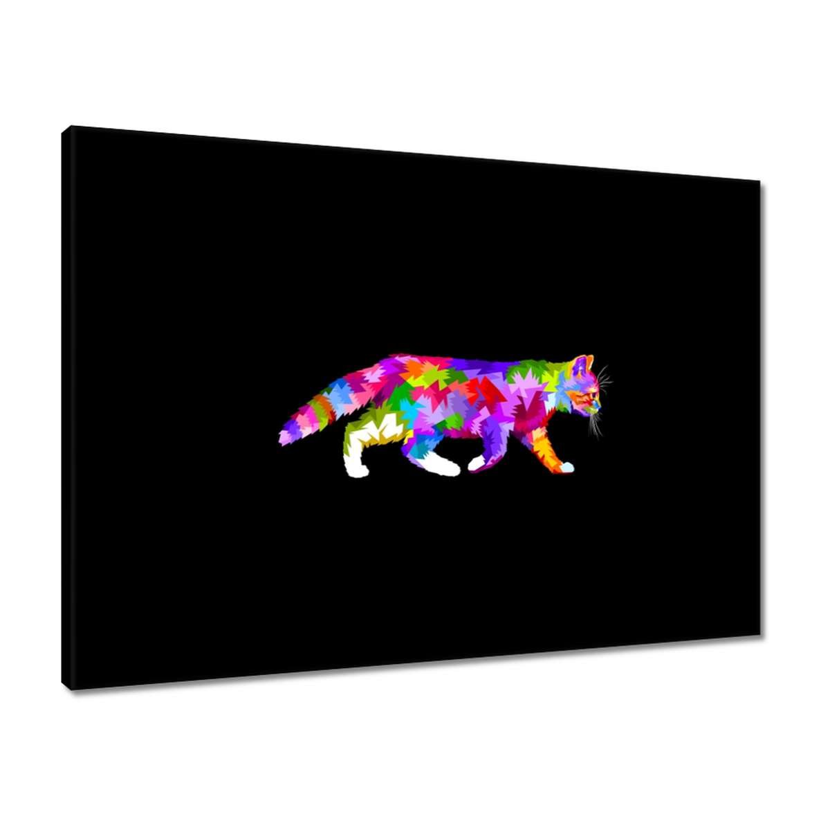 Obraz Kot Kotki Koty Kicia, 70x50cm - ZeSmakiem | Sklep EMPIK.COM