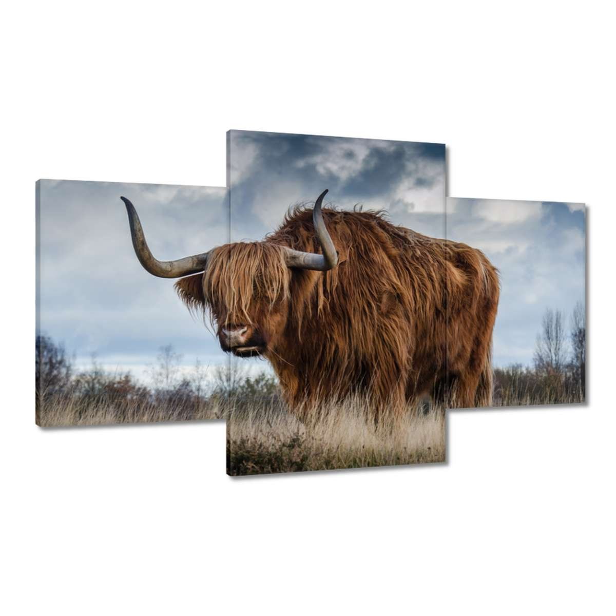 Obraz Krowa rasy wyżynnej, 100x60cm - ZeSmakiem | Sklep EMPIK.COM