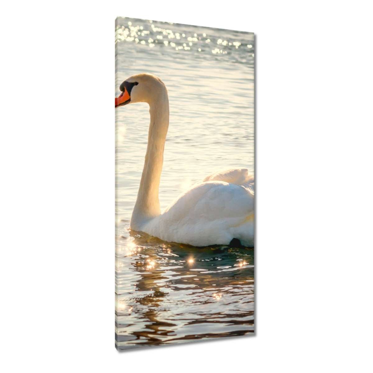 Obraz Łabędź na jeziorze, 55x115cm - ZeSmakiem | Sklep EMPIK.COM