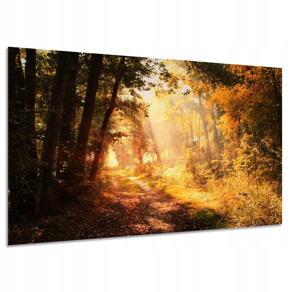 Obraz LAS 10 promienie słońca do sypialni 120x80 - AleObrazy | Sklep ...