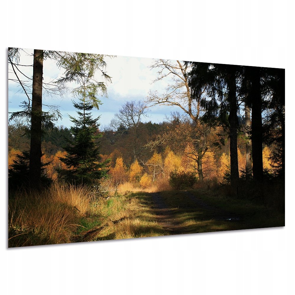 Obraz LAS 8 kolory jesieni do salanu 120x80 - AleObrazy | Sklep EMPIK.COM