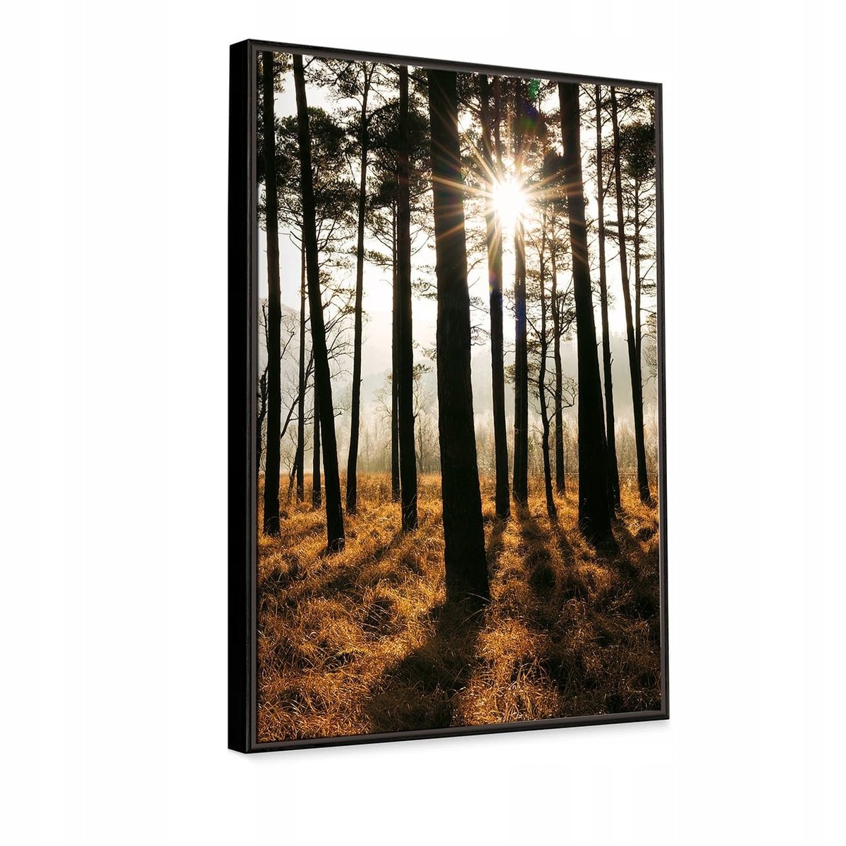 Obraz las w ramie 49x69 cm obraz pejzaż las i słońce obraz skandynawski ...