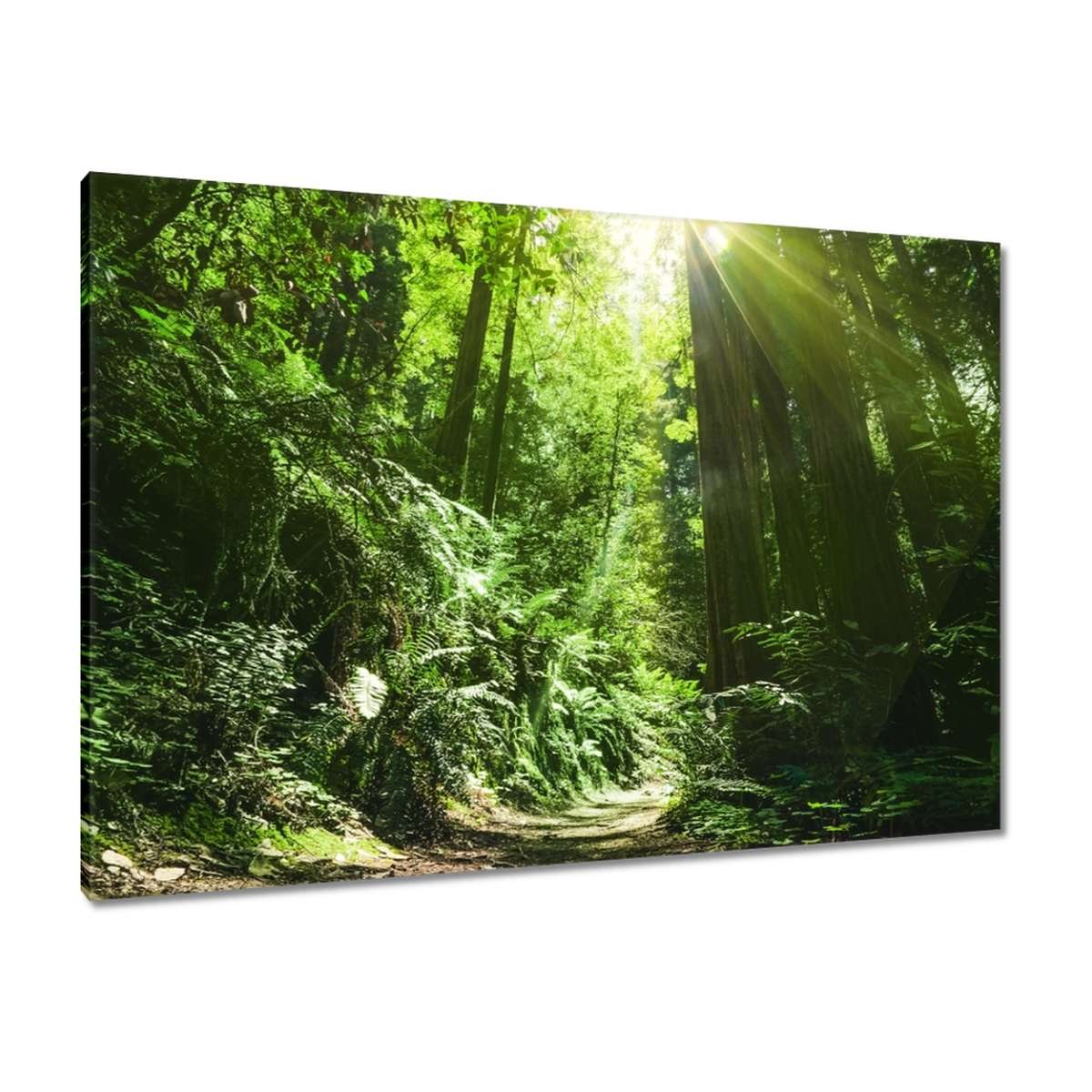 Obraz Magiczny las Krajobraz, 100x70cm - ZeSmakiem | Sklep EMPIK.COM