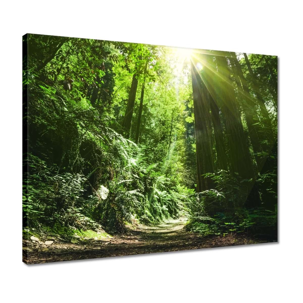 Obraz Magiczny las Krajobraz, 50x40cm - ZeSmakiem | Sklep EMPIK.COM